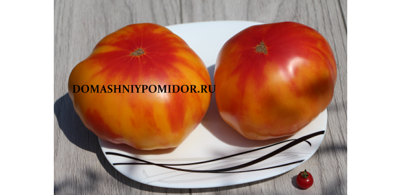 Король Ананас ( King Pineapple, США)